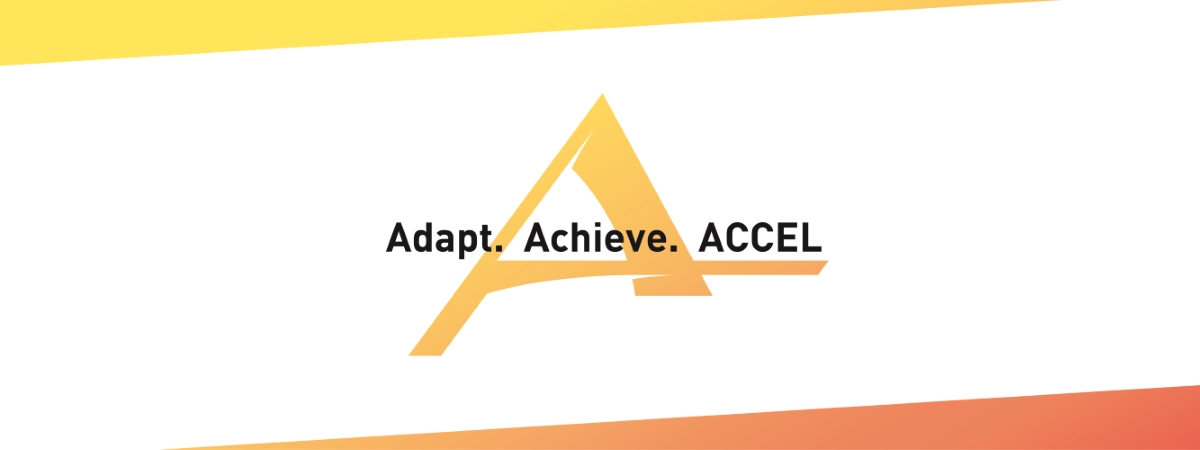 Accel Performance Training